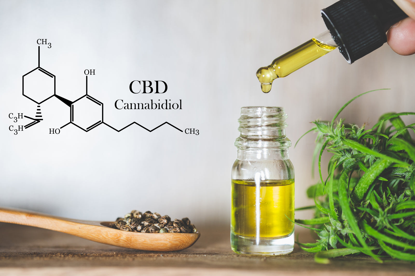 CBD Glossary: A Comprehensive Guide to Key Terms in the World of Canna ...